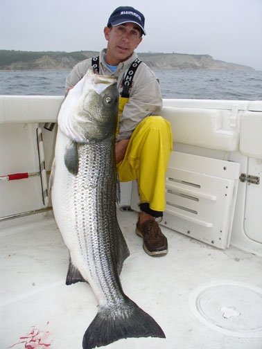Striped Bass Tips | Spring Striper Fishing