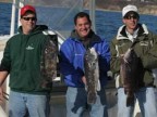 Blackfish Fishing Geenwich, CT (Tautog)