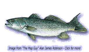 Weakfish Fishing Tackle, Techniques, Tips, and Video (Sea Trout)